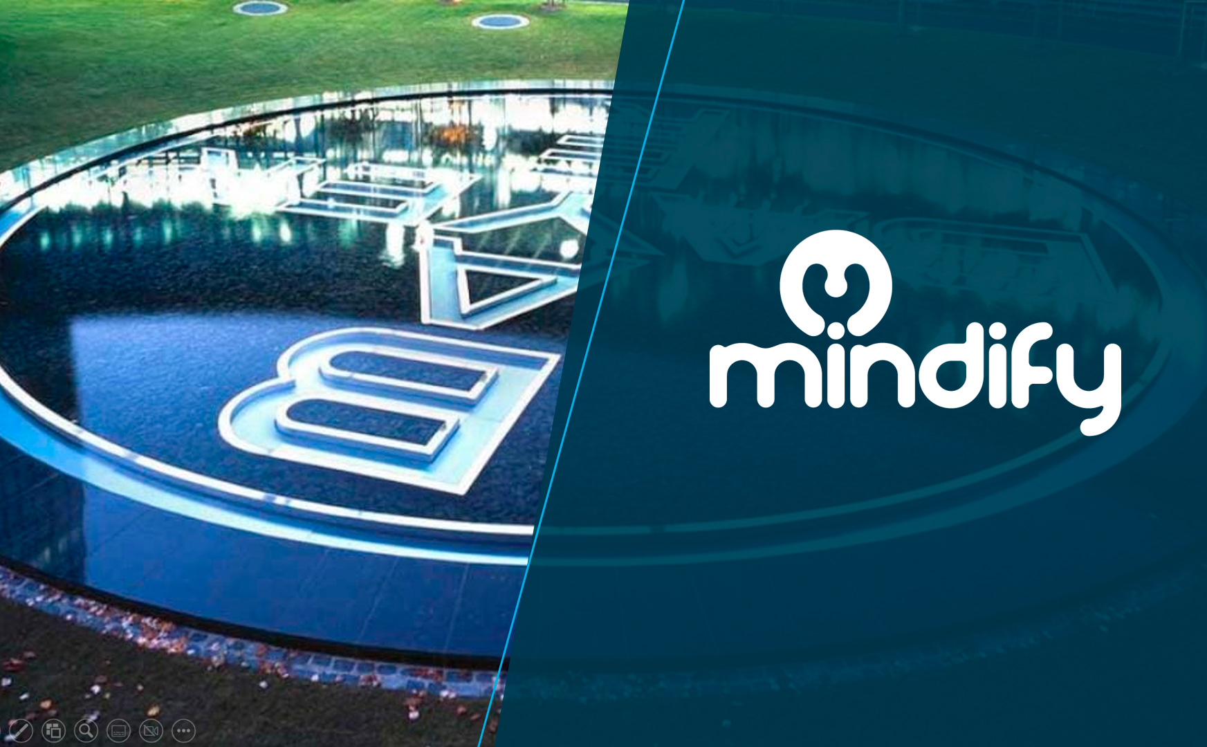 Institutional | Mindify